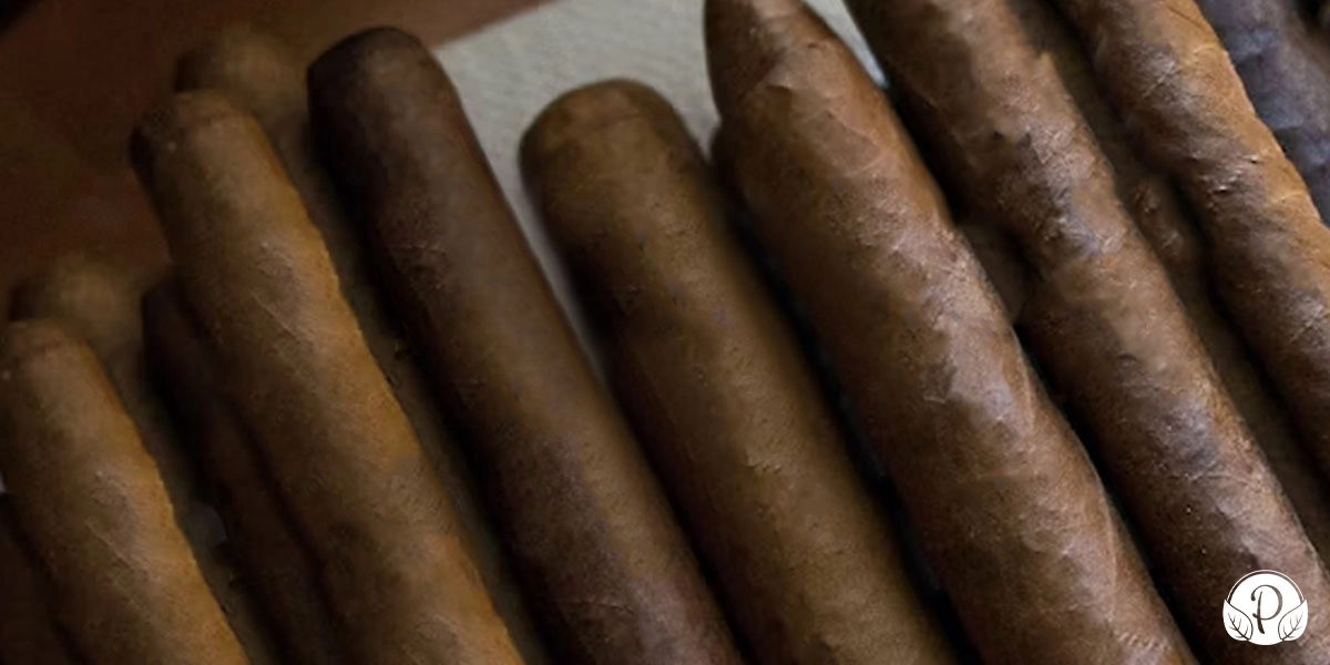Best Nicaraguan Cigars | Prisco Cigars